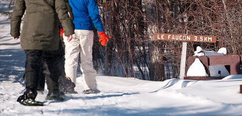 La Bannik • Au Québ