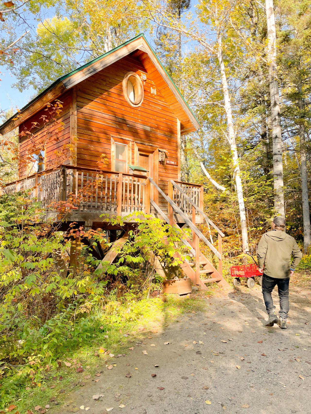 Canopée Lit : cabanes et bulles perchées en forêt • Au Québ
