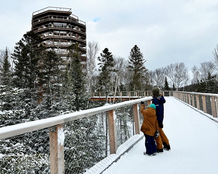 Sentier des cimes dans les Laurentides • Au Québ